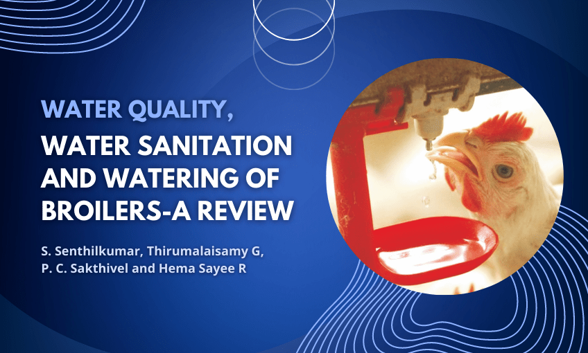 Water Quality, Water Sanitation and Watering of Broilers - SR Publications