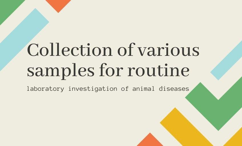 Collection of Various Samples for Routine Laboratory Investigation of ...