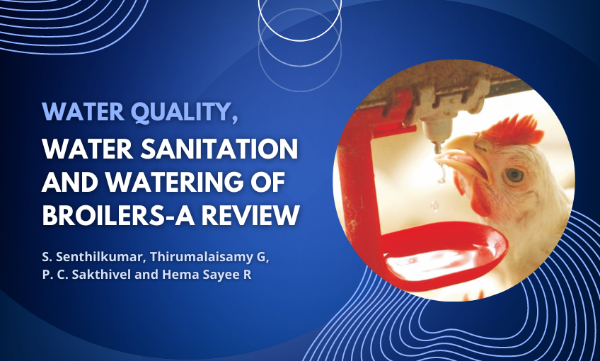 Water Quality, Water Sanitation and Watering of Broilers-A Review - SR ...