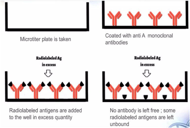 Radioimmunoassay: A Senstive in Vitro Assay Technique - SR Publications