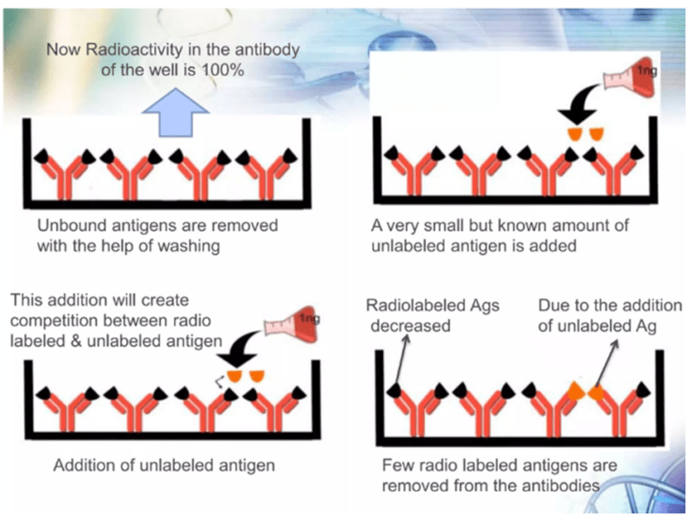 Radioimmunoassay: A Senstive in Vitro Assay Technique - SR Publications