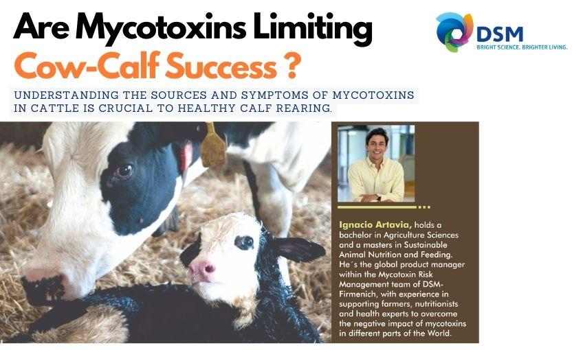Are Mycotoxins Limiting Cow-Calf Success? - SR Publications