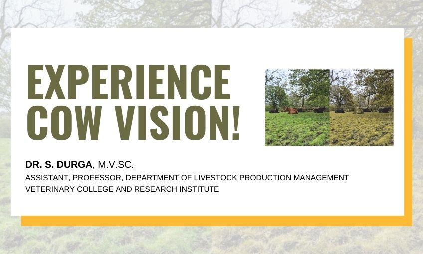 EXPERIENCE COW VISION! - SR Publications