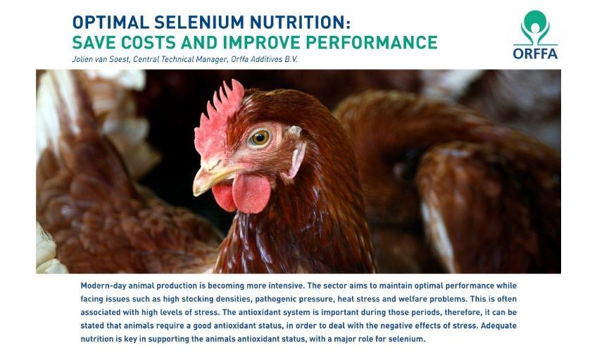 OPTIMAL SELENIUM NUTRITION: SAVE COSTS AND IMPROVE PERFORMANCE - SR ...