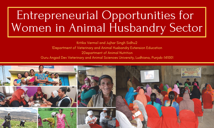 Entrepreneurial opportunities for Women in Animal Husbandry Sector - SR ...