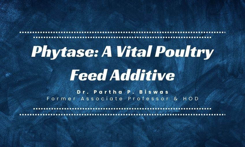Phytase: A Vital Poultry Feed Additive - SR Publications