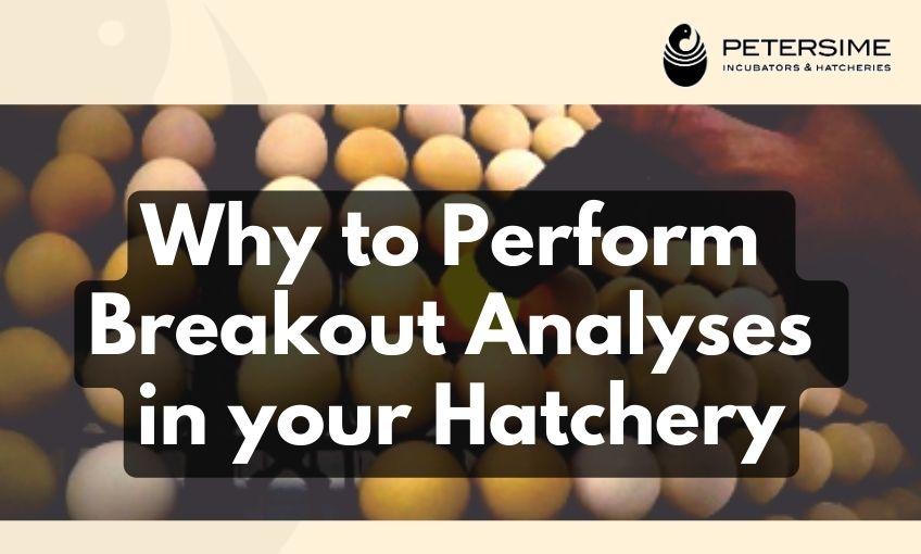 Why to Perform Breakout Analyses in Your Hatchery - SR Publications