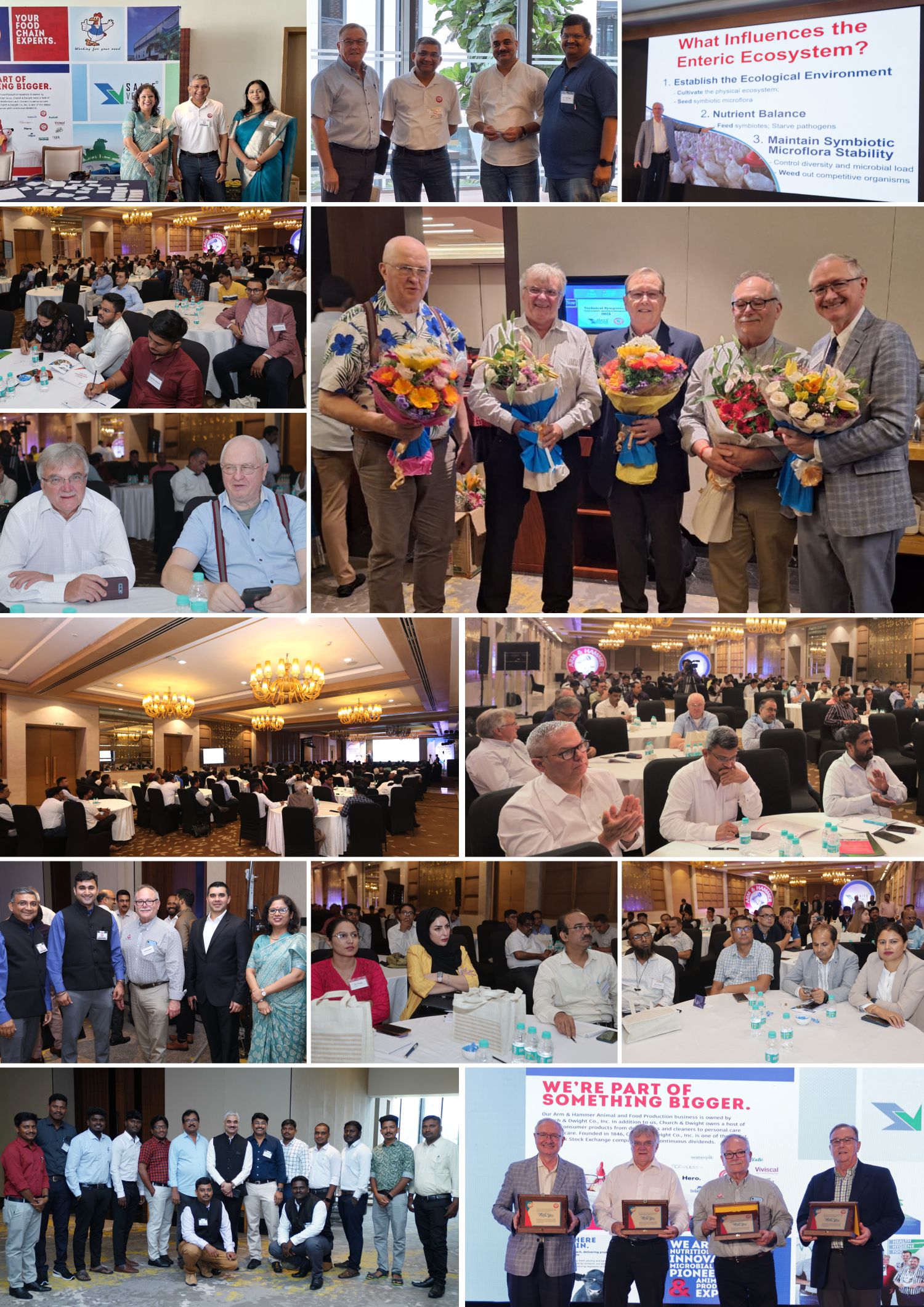 SAIFE VETMED - Technical seminar 2023 - SR Publications