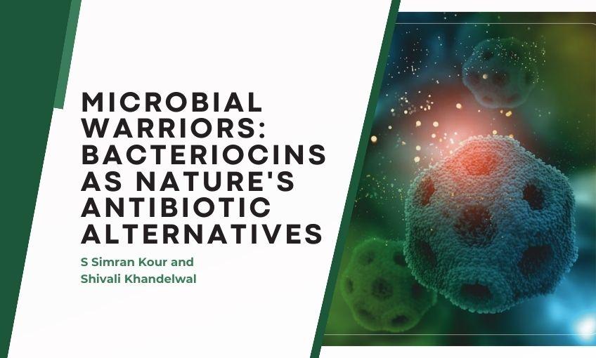 Microbial Warriors: Bacteriocins as Nature's Antibiotic Alternatives ...