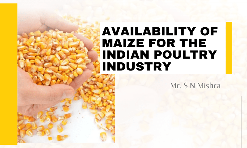 Availability of Maize for the Indian Poultry Industry - SR Publications