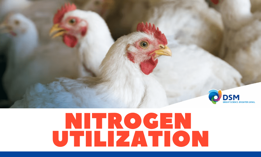 Nitrogen Utilization - SR Publications