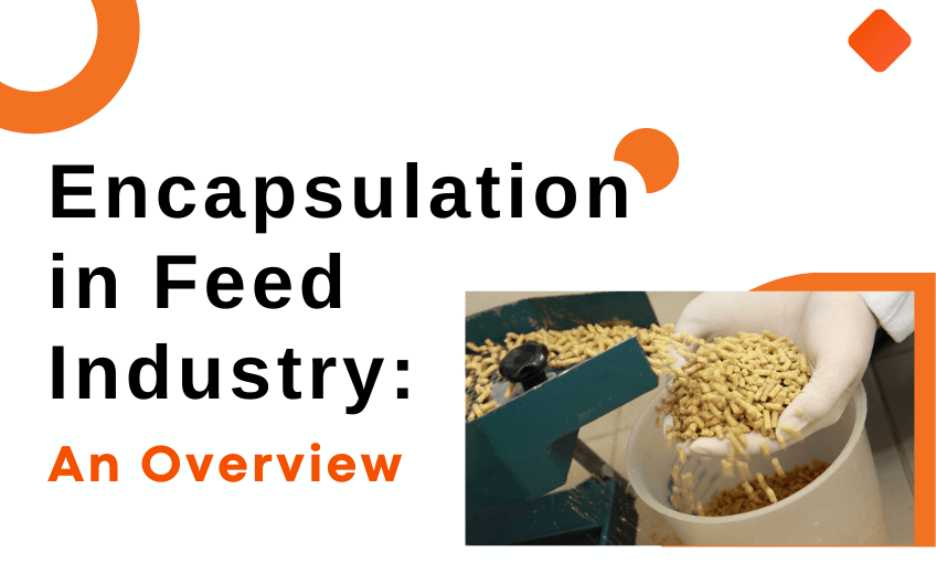Encapsulation in feed industry: An overview - SR Publications