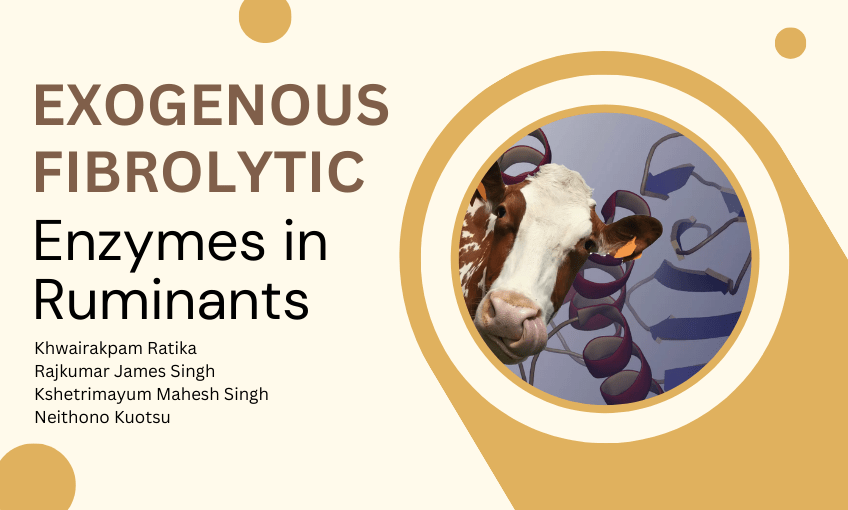 Exogenous Fibrolytic Enzymes in Ruminants - SR Publications