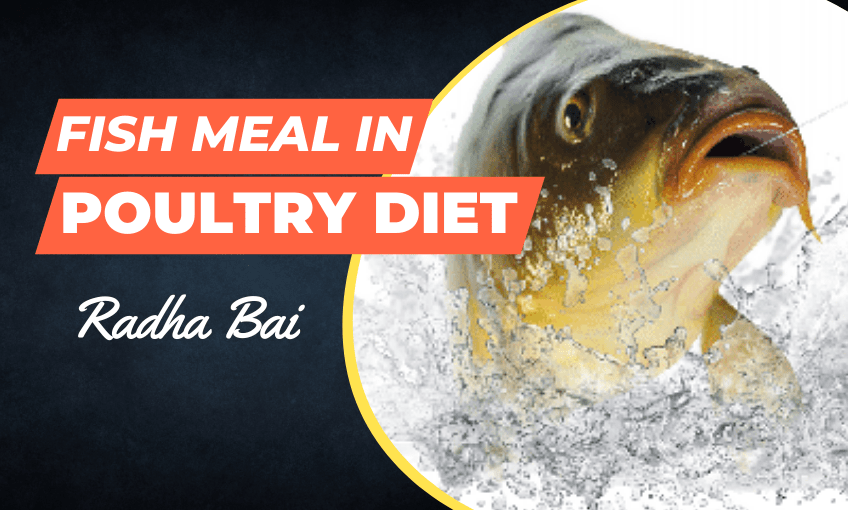Fish meal in Poultry Diet - SR Publications