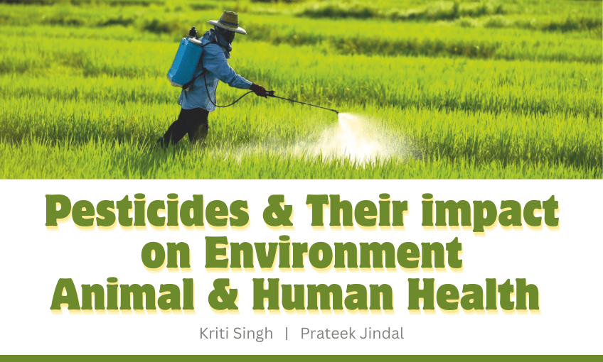 Pesticides and Their Impact on Environment, Animal & Human Health - SR ...