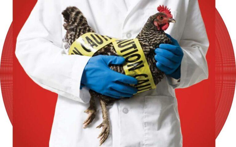 Biosecurity Measures for Profitable Poultry Production in India - SR ...