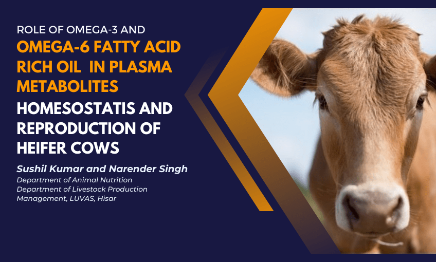 Role of Omega-3 And Omega-6 Fatty Acid rich oil in Plasma Metabolites ...