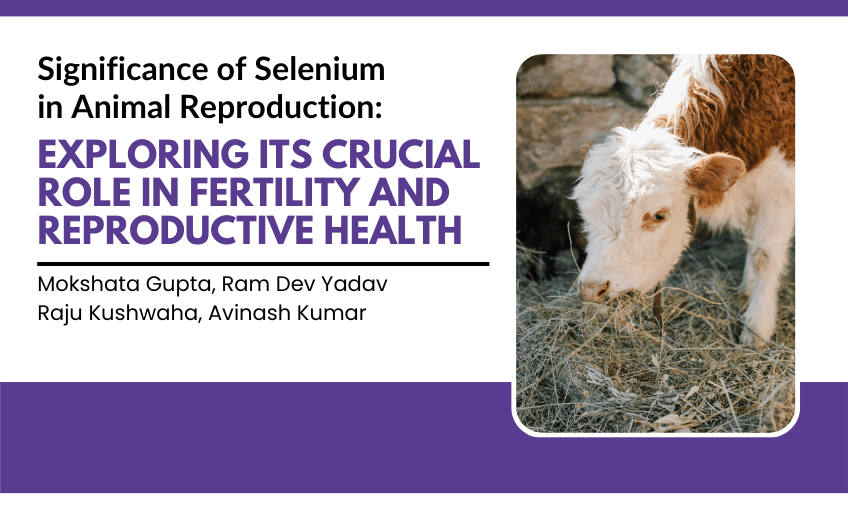 Significance of Selenium in Animal Reproduction: Exploring its Crucial ...