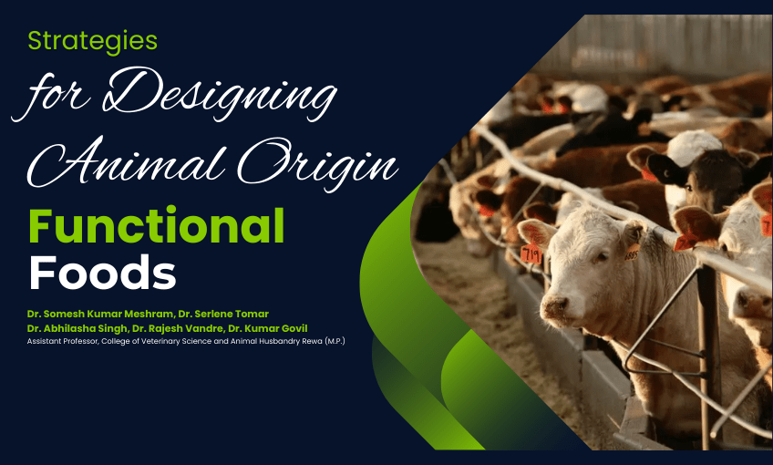 Strategies for Designing Animal Origin Functional Foods - SR Publications