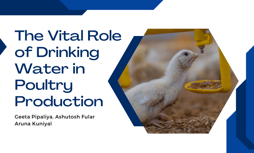 The vital role of drinking water in poultry production - SR Publications