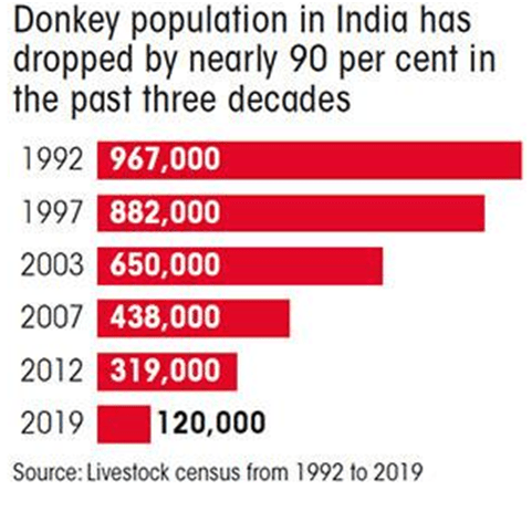 Donkey farming in India - SR Publications