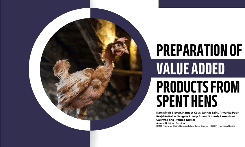 Preparation of Value Added Products from Spent Hens - SR Publications