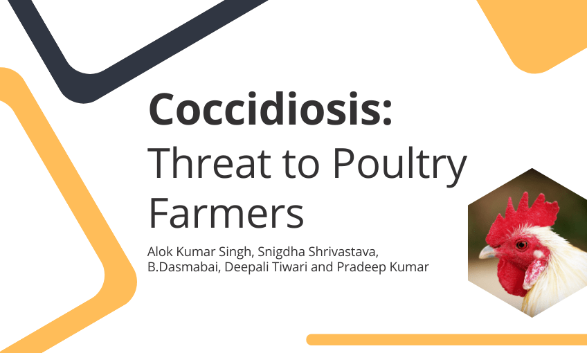 Coccidiosis: threat to poultry farmers - SR Publications