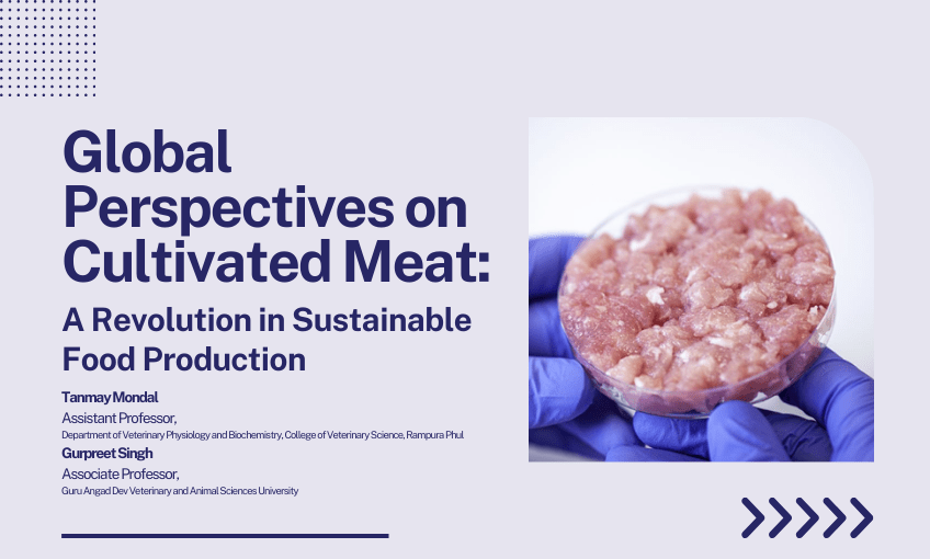 Global Perspectives on Cultivated Meat: A Revolution in Sustainable ...