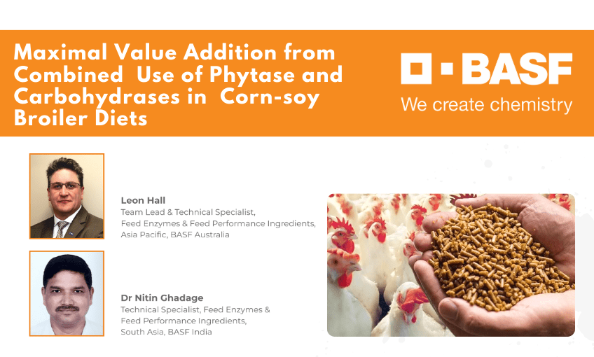 Maximal value addition from combined use of phytase and carbohydrases ...
