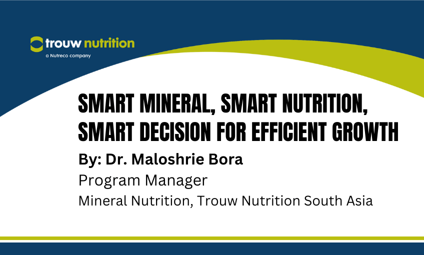 Smart Mineral, Smart Nutrition, Smart Decision for Efficient growth ...