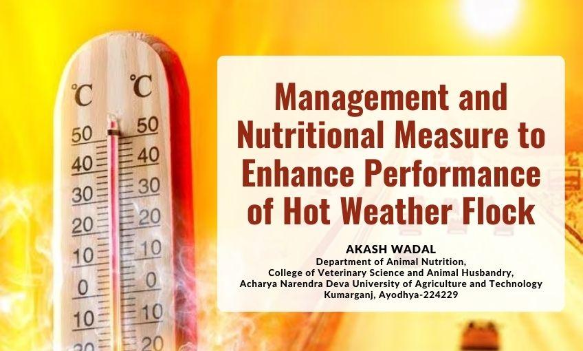 MANAGEMENT AND NUTRITIONAL MEASURE TO ENHANCE PERFORMANCE OF HOT ...