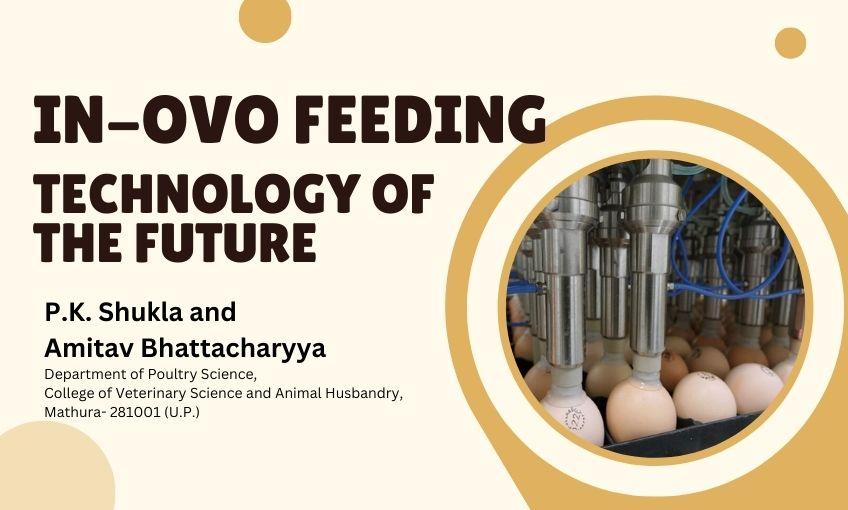 IN-OVO FEEDING – Technology of the Future - SR Publications