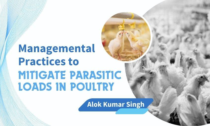 Managemental practices to mitigate parasitic loads in poultry - SR ...