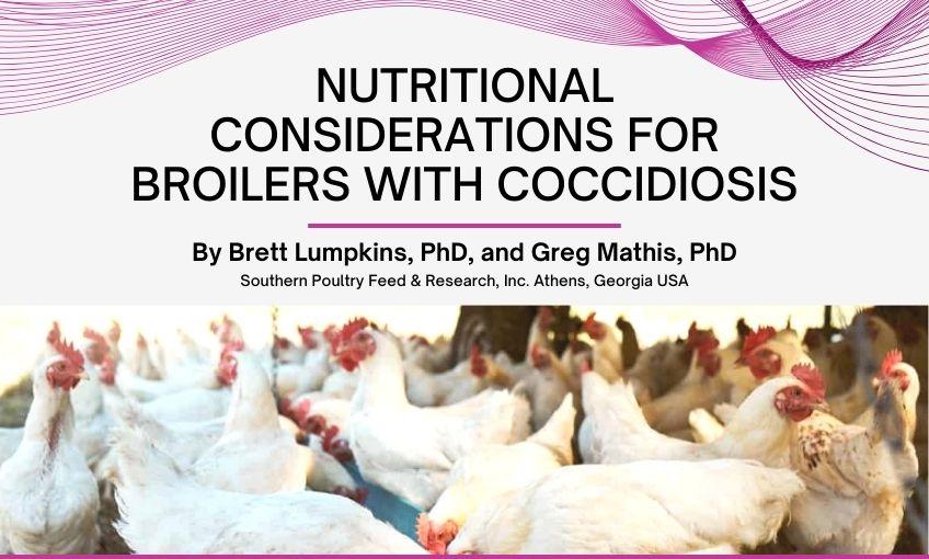 Nutritional considerations for broilers with coccidiosis - SR Publications