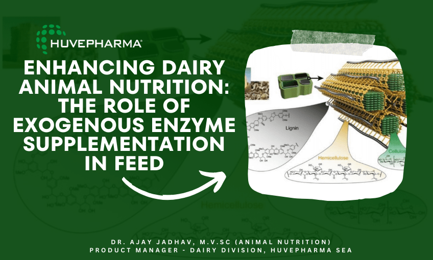 Enhancing Dairy Animal Nutrition: The Role of Exogenous Enzyme ...