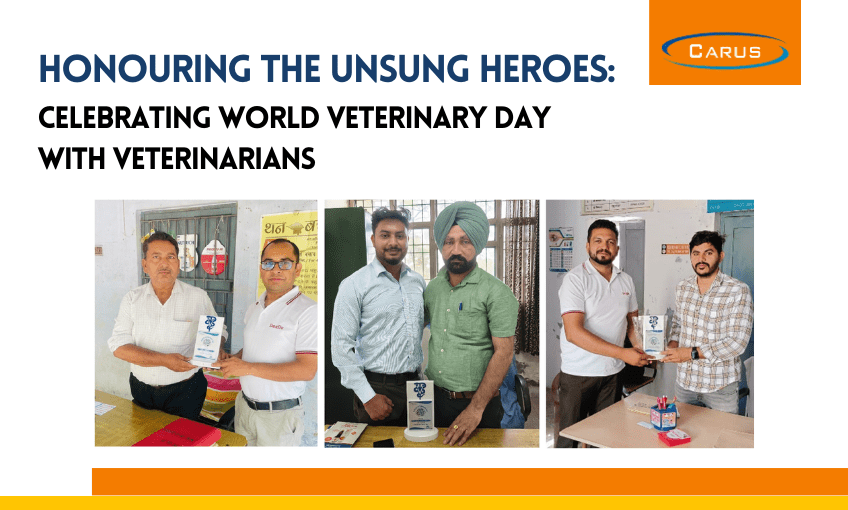 Honouring the Unsung Heroes: Celebrating World Veterinary Day with ...