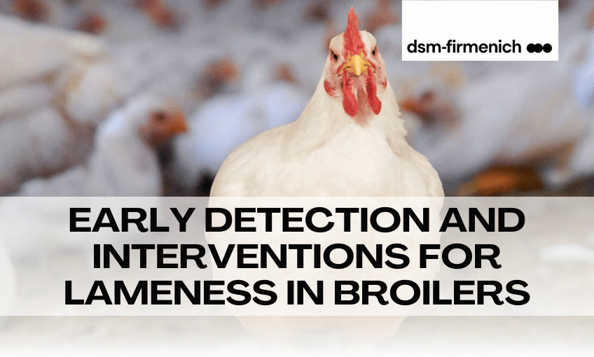 Early detection and interventions for lameness in broilers - SR ...