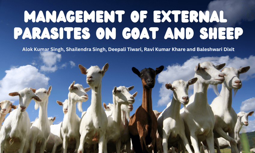 Management of external parasites on goat and sheep - SR Publications