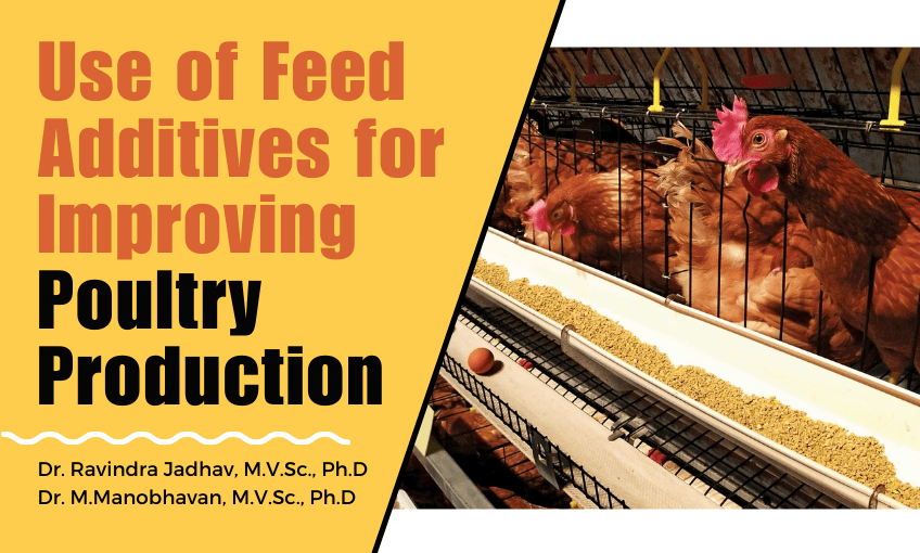 Use of feed additives for improving poultry production - SR Publications