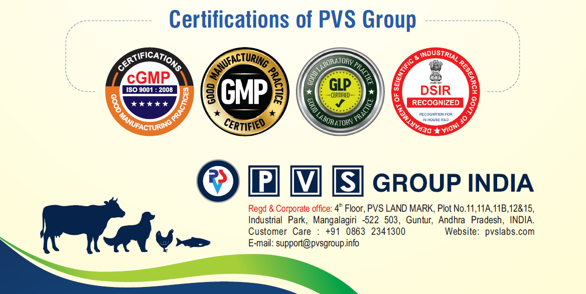 PVS Group- The Largest Manufacturer - SR Publications