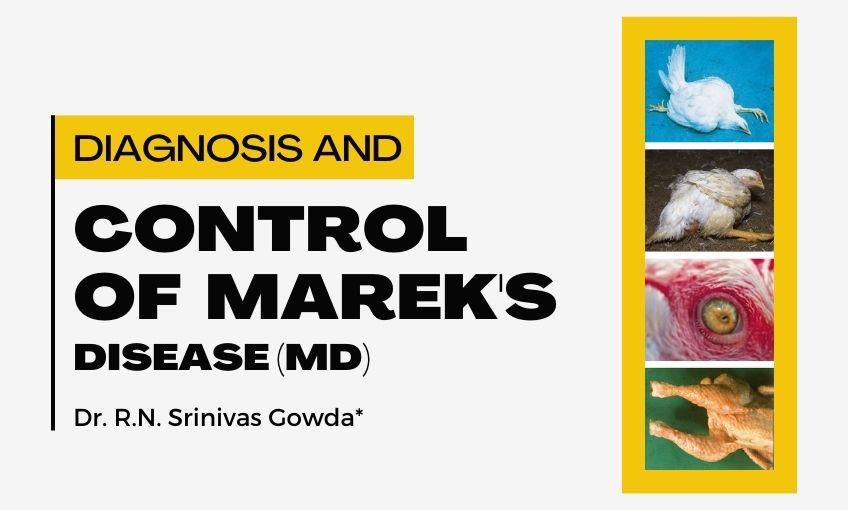 DIAGNOSIS AND CONTROL OF MAREK’S DISEASE (MD) - SR Publications
