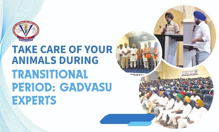 Take Care of your Animals during Transitional Period: GADVASU Experts ...