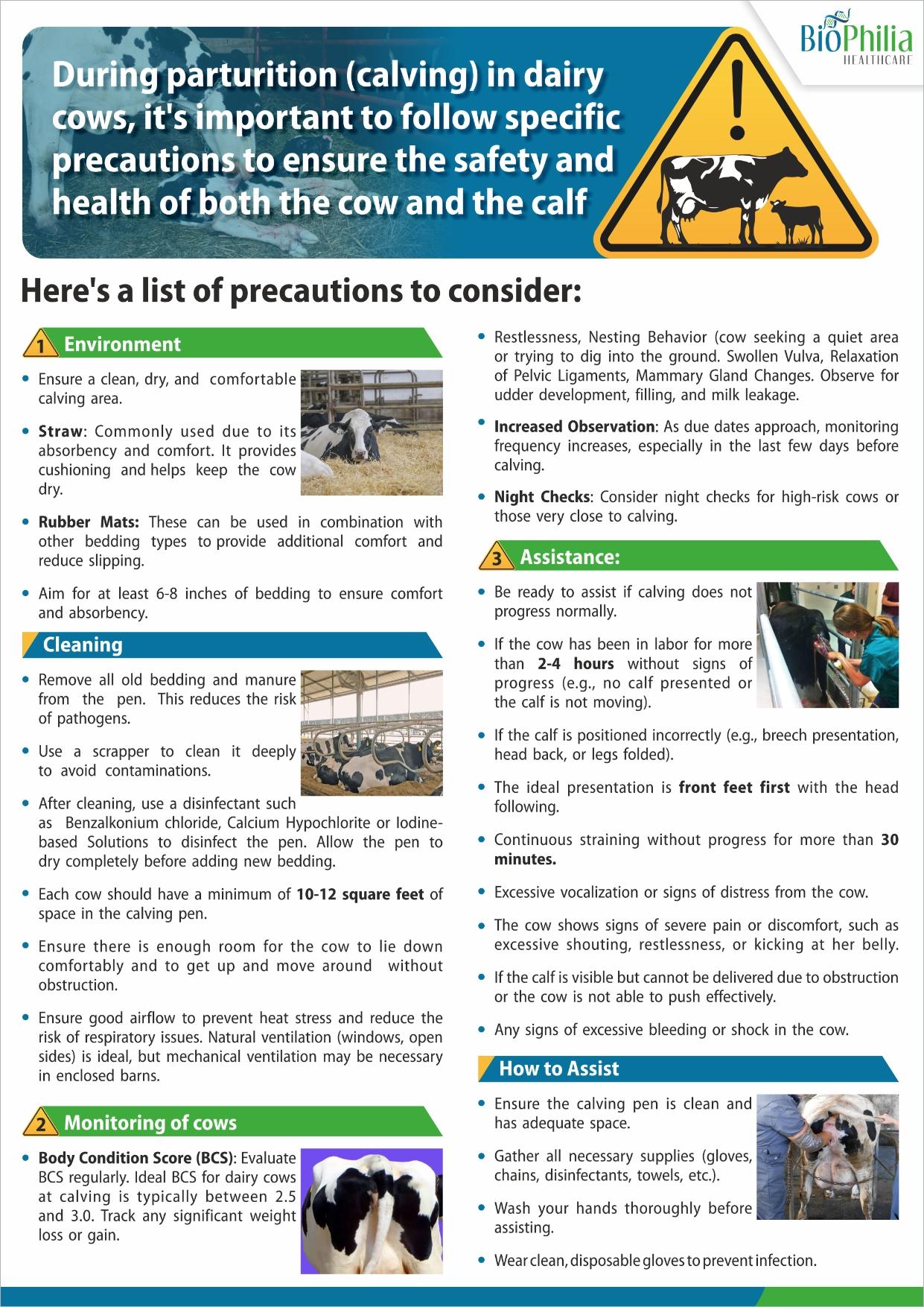 During parturition (calving) in dairy cows, it's important to follow ...