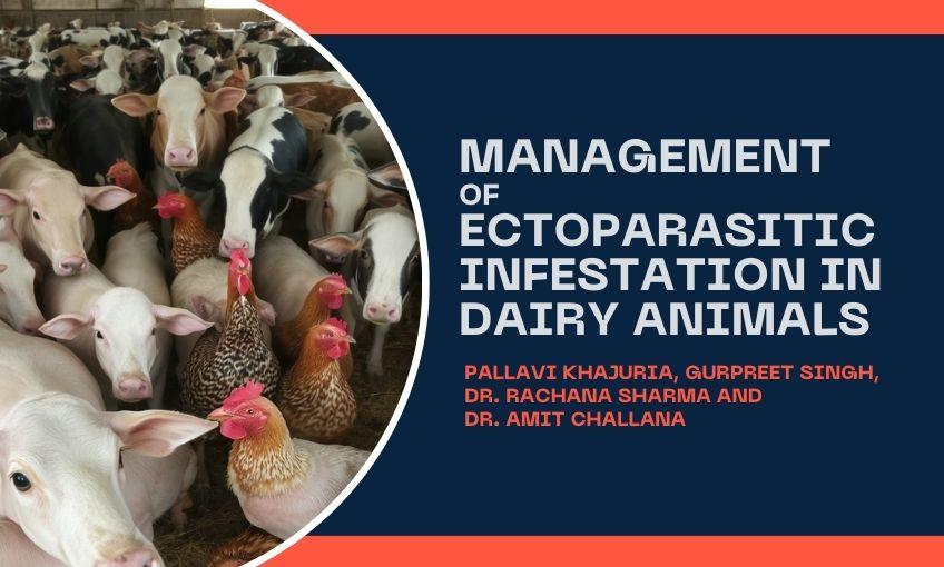 Management of ectoparasitic infestation in Dairy animals - SR Publications