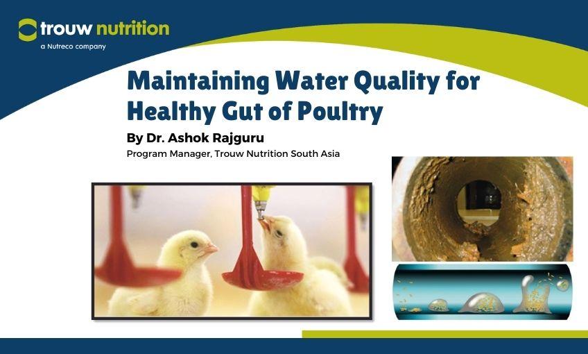 Maintaining Water Quality for Healthy Gut of Poultry - SR Publications