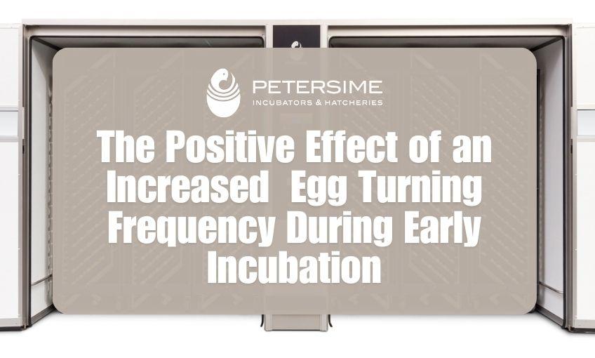 The positive effect of an increased egg turning frequency during early ...