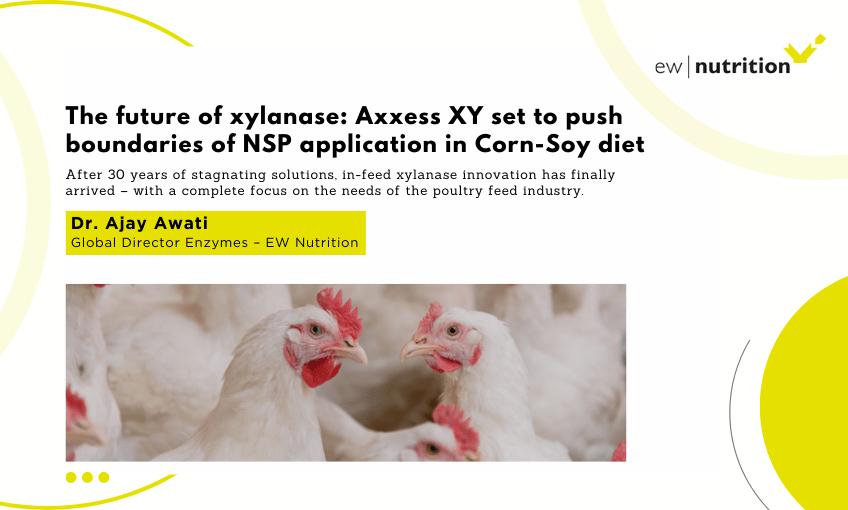 The future of xylanase: Axxess XY set to push boundaries of NSP application in Corn-Soy diet ...