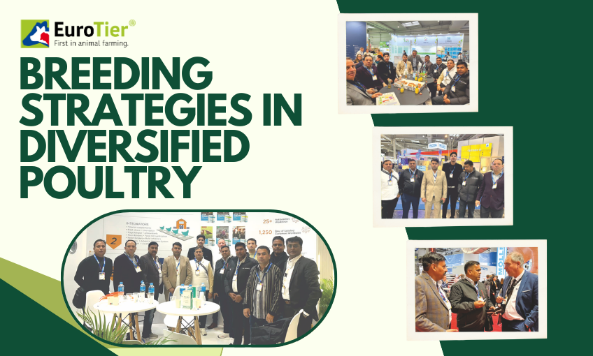 EuroTier 2024: world leading trade fair successfully powers the ...