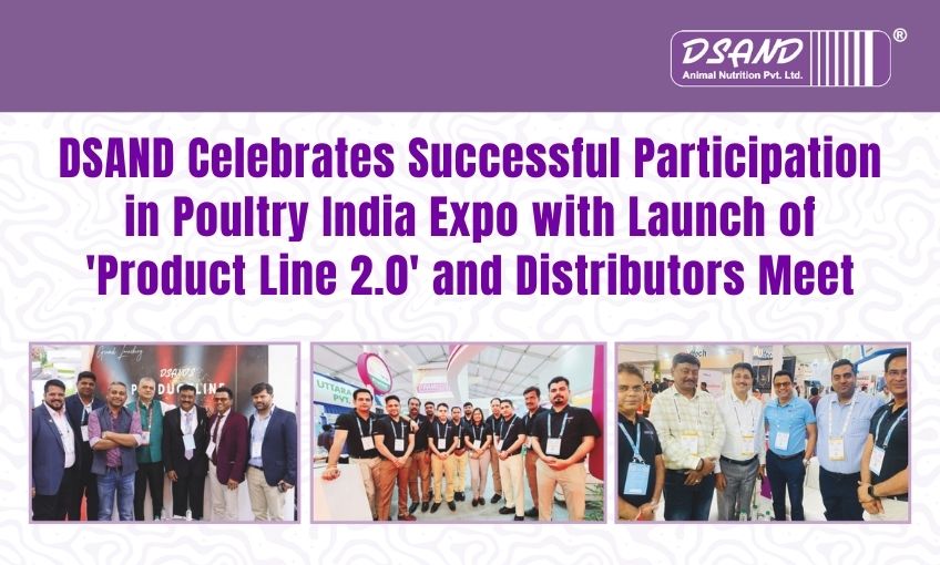 DSAND Celebrates Successful Participation in Poultry India Expo with ...