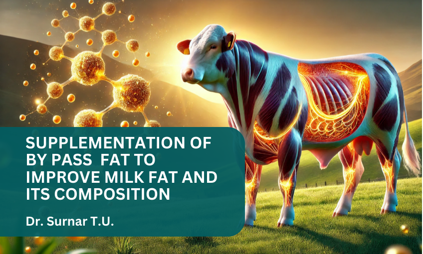 SUPPLEMENTATION OF BY PASS FAT TO IMPROVE MILK FAT AND ITS COMPOSITION ...